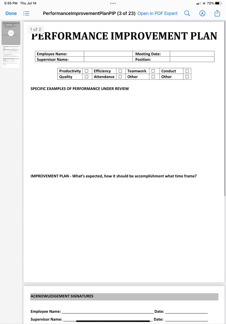 Performance Improvement Plan Editable Template - Etsy