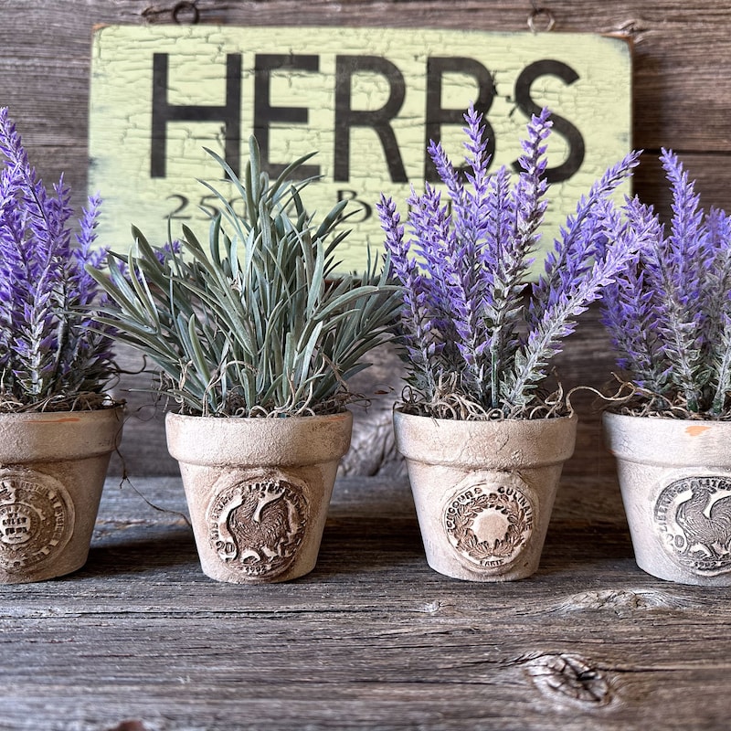 French Clay Pots - Etsy