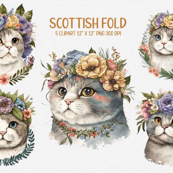 Scottish Fold - Etsy