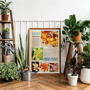 Lily Botanical Garden Poster, Flower Poster, Typography Print, Mid ...