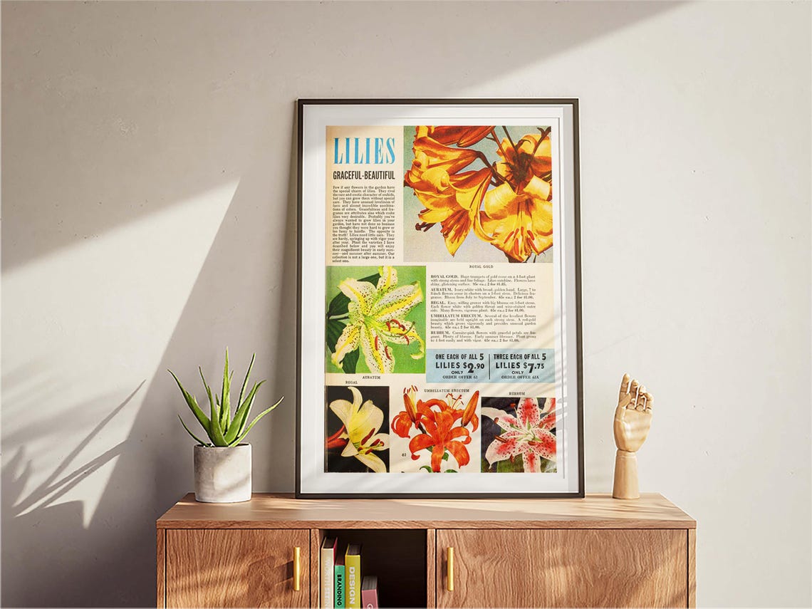 Lily Botanical Garden Poster, Flower Poster, Typography Print, Mid ...