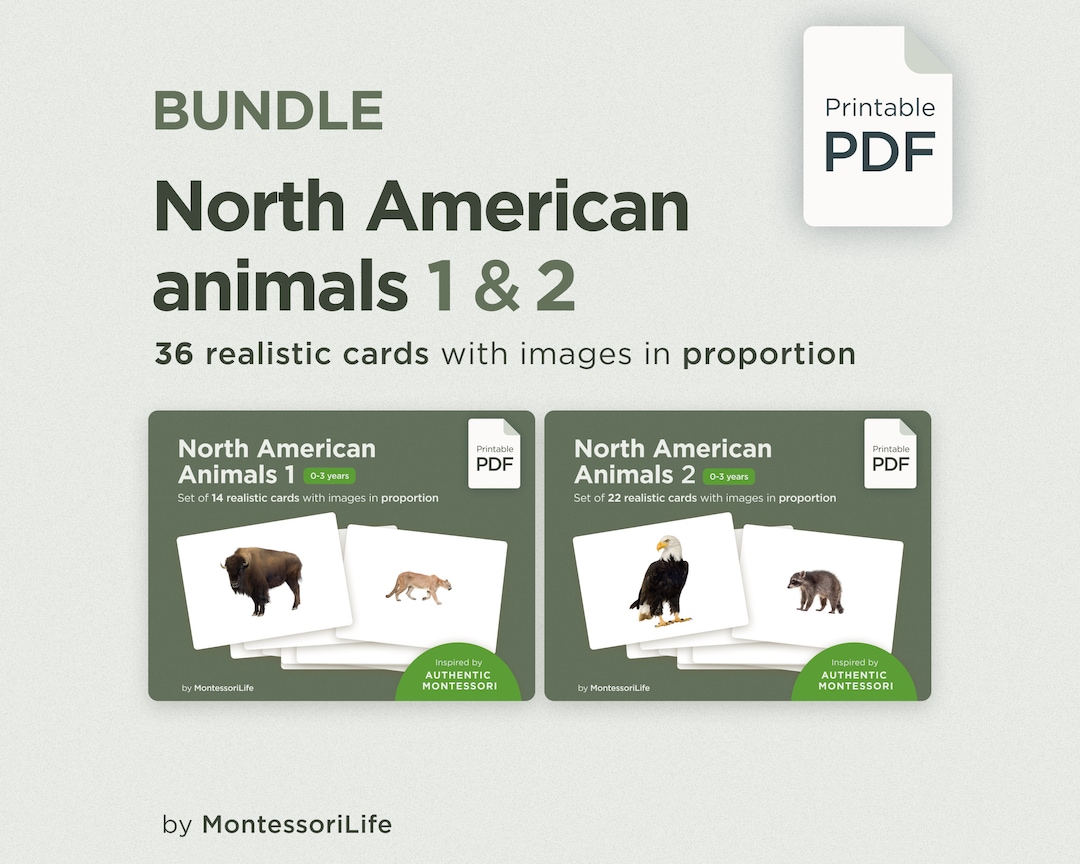 NORTH AMERICAN ANIMALS (bundle), 36 Large Cards With Real Images ...