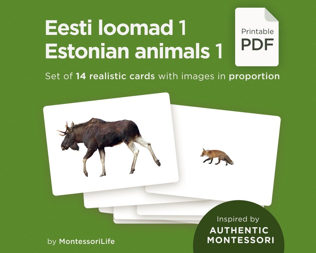 EESTI LOOMAD Estonian Animals set 1, 14 Large Cards With Real Images ...