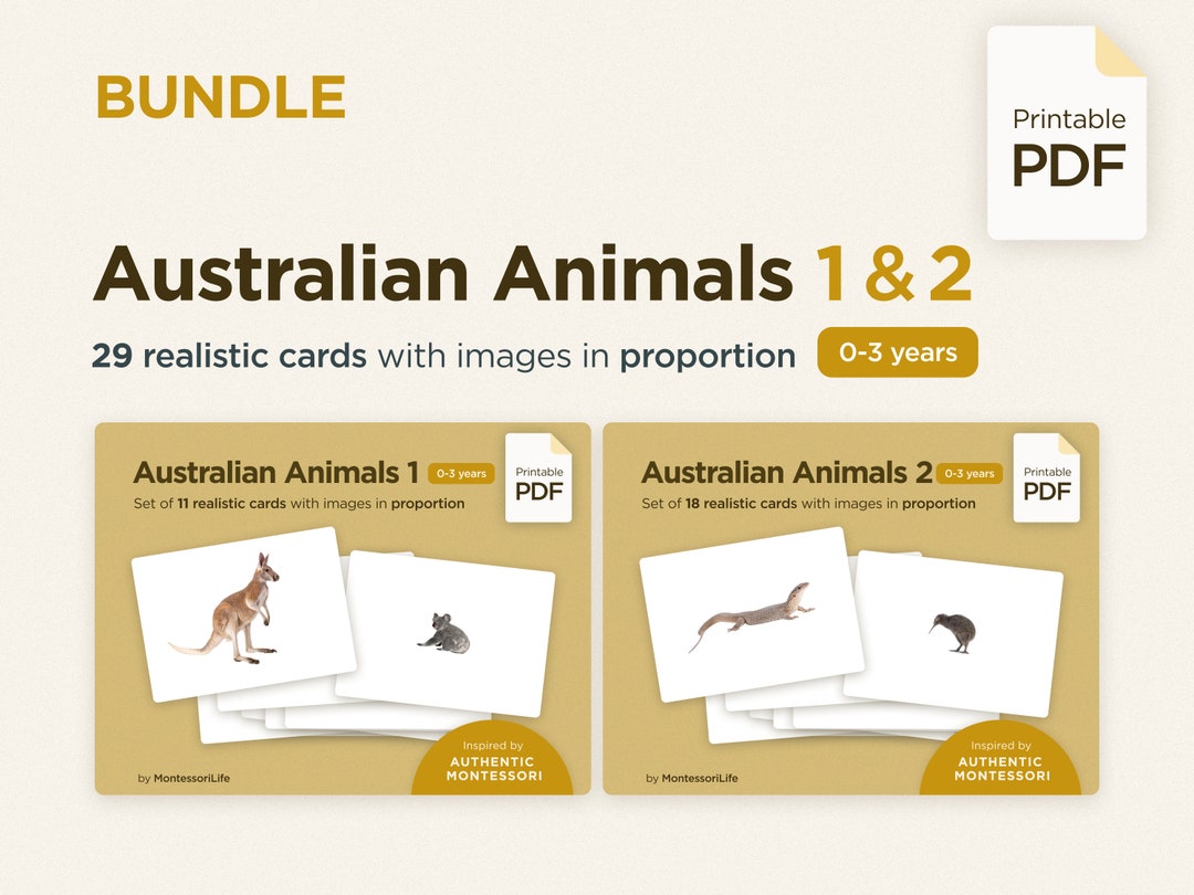 AUSTRALIAN ANIMALS bundle 29 Large Cards With Real Images & - Etsy