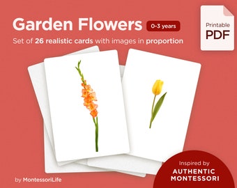 Montessori Garden Cards - Etsy