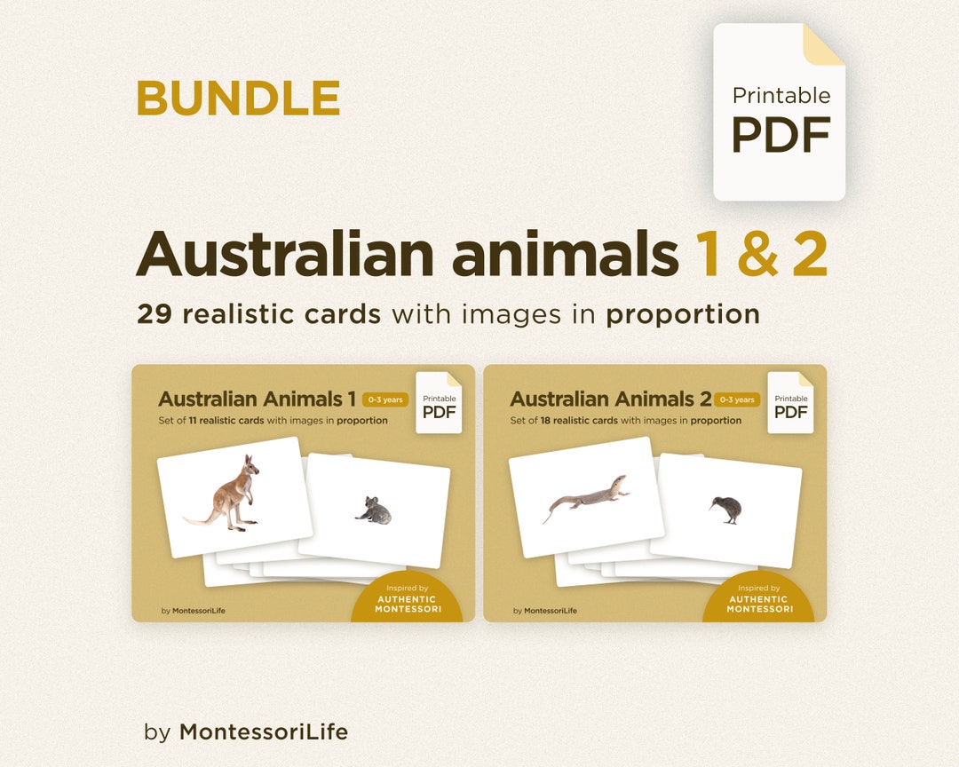 AUSTRALIAN ANIMALS (bundle), 29 Large Cards With Real Images ...