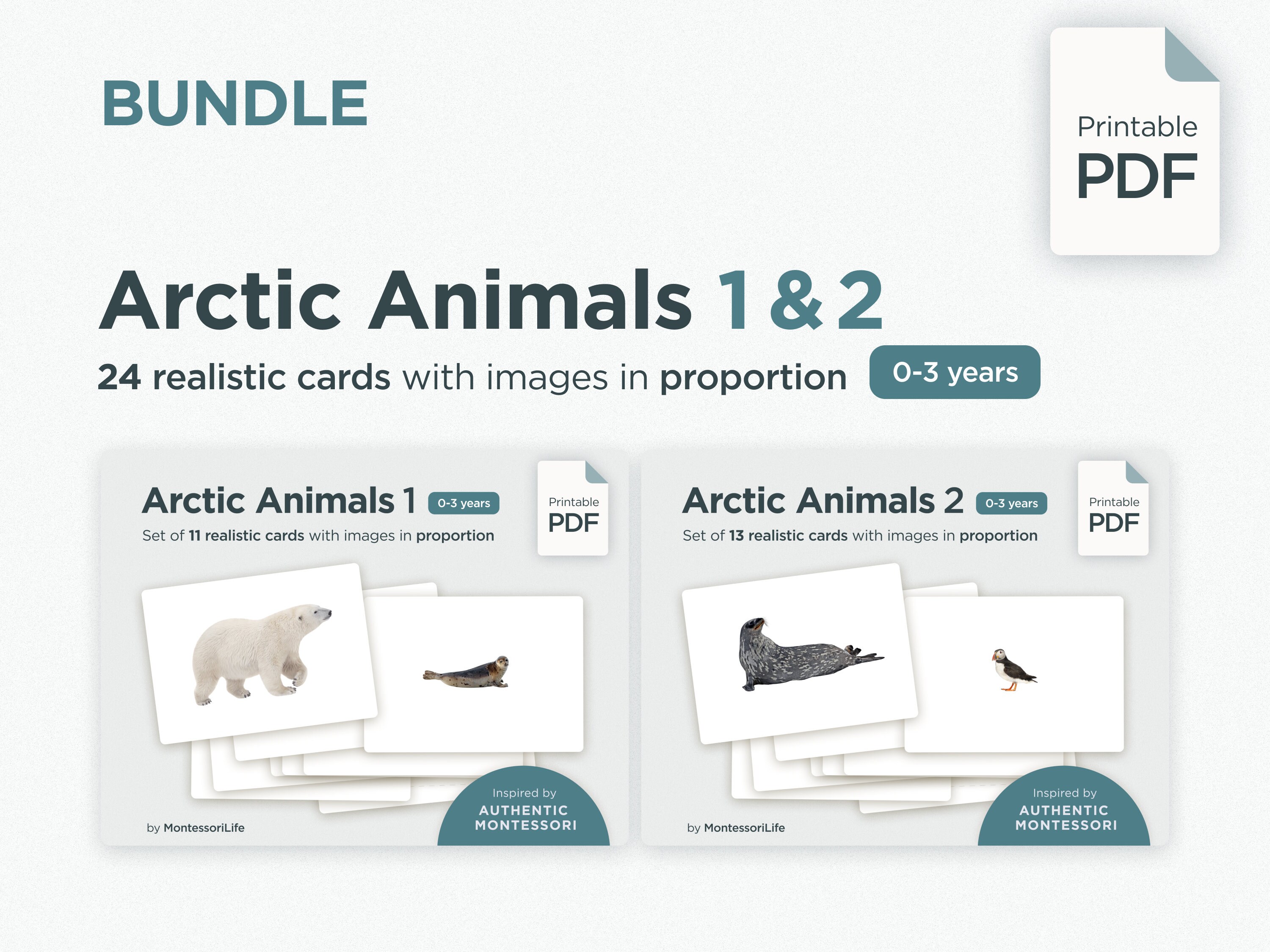 ARCTIC ANIMALS bundle 24 Large Cards With Real Images & - Etsy