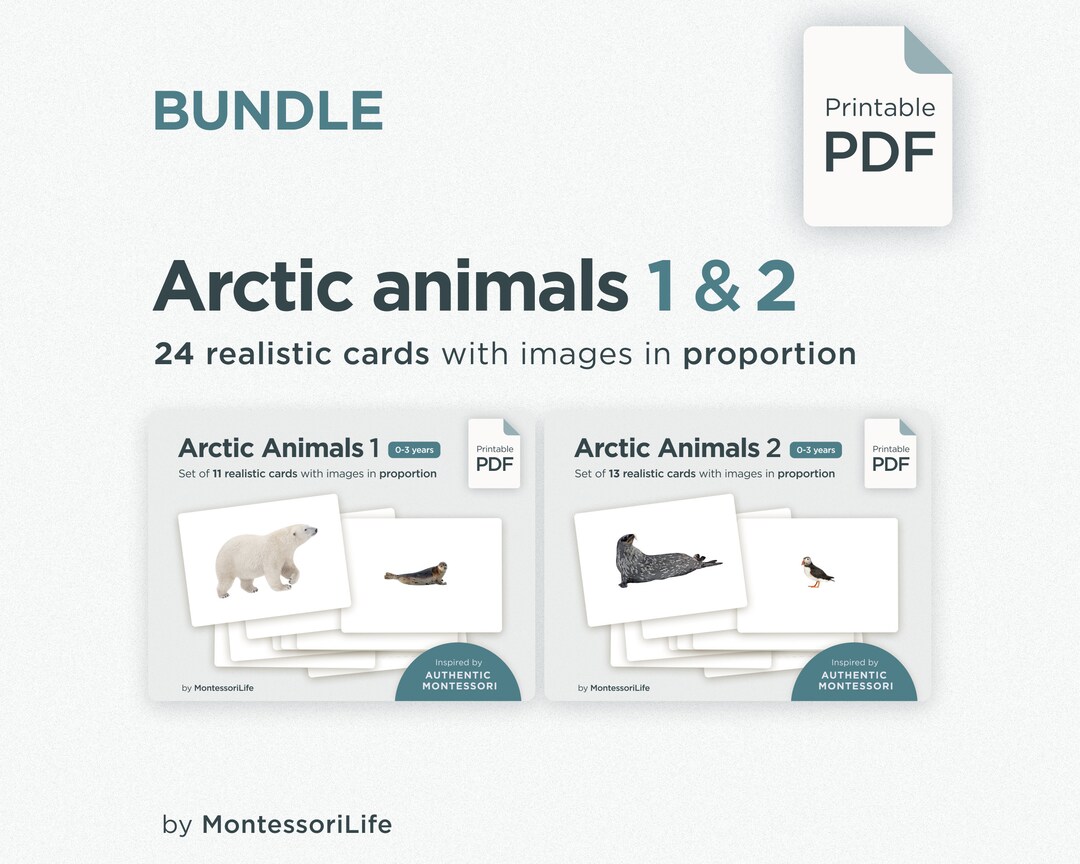 ARCTIC ANIMALS bundle, 24 Large Cards With Real Images & Proportions ...