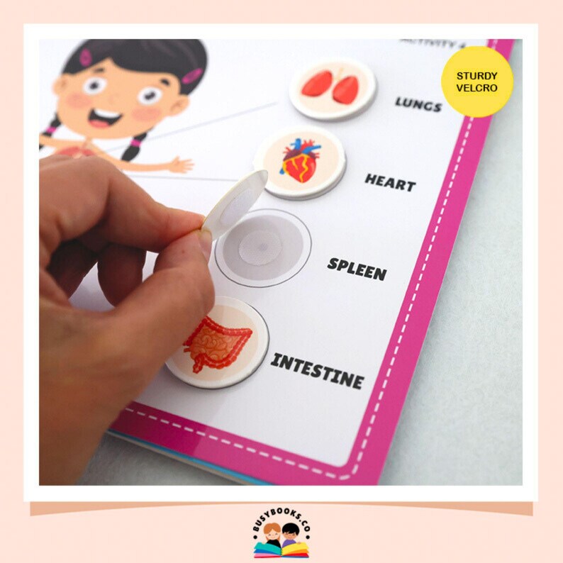 Human Body Busy Book Preschool Worksheets Homeschool Resources Anatomy ...