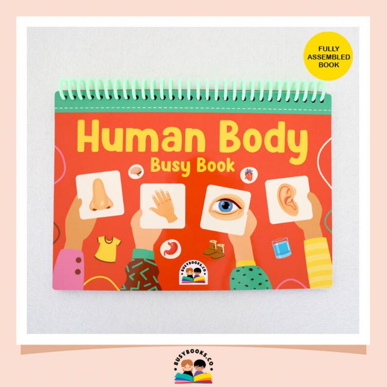 Human Body Busy Book Preschool Worksheets Homeschool Resources Anatomy ...