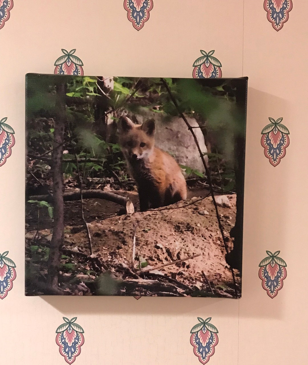 Young Fox Pup Sitting Alone in the Forest Canvas Wrapped Color ...