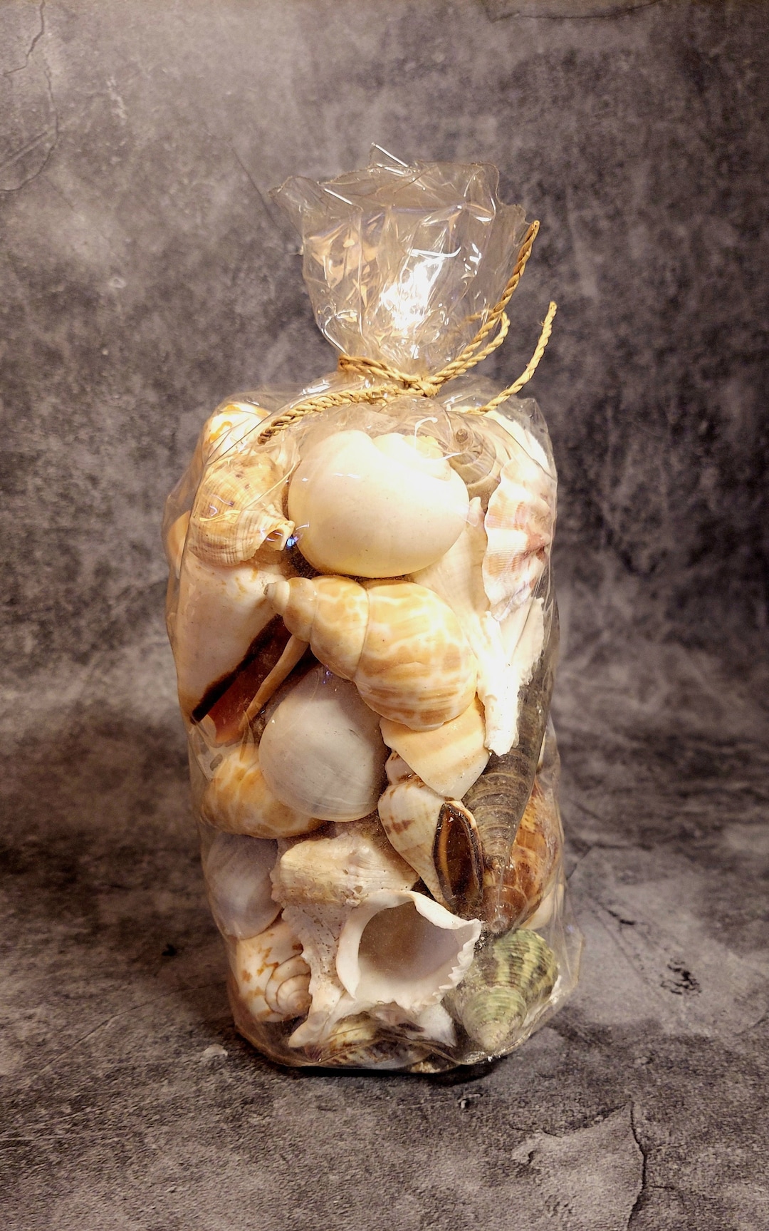 Olokun Seashells for Orisha Fo the Sea, Also for Yemaya, Otin, Yembo ...