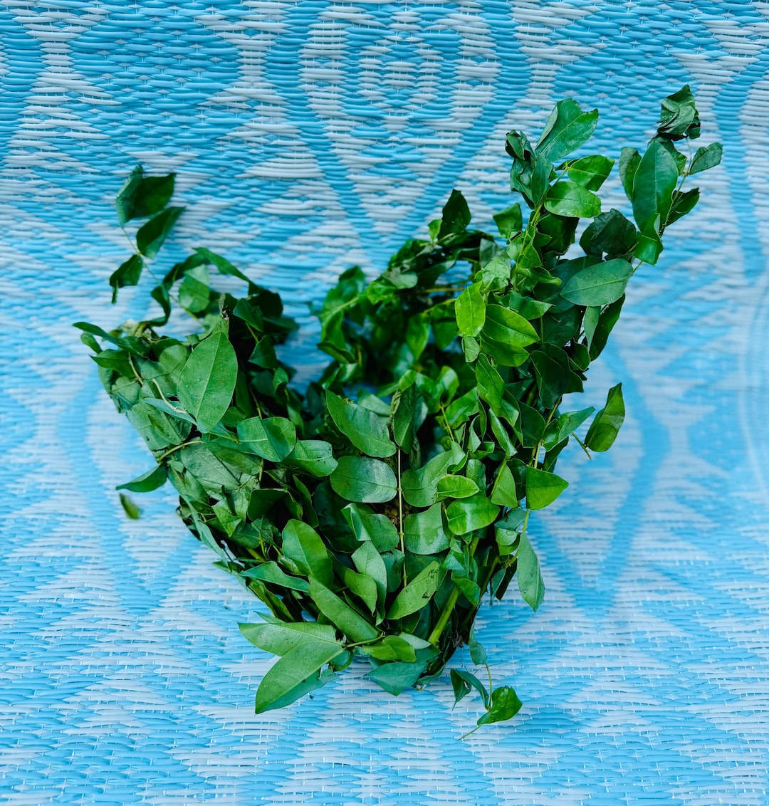 Quita Maldicion - Curse Removing Herb - Spiritual Cleansing Herbs ...