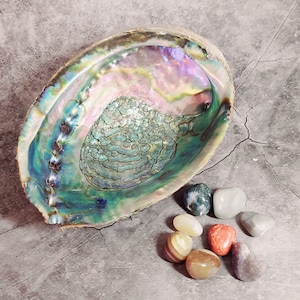 Abalone Shell + Smudge Stick / Abalone Shell Dish / Large Abalone Shell ...