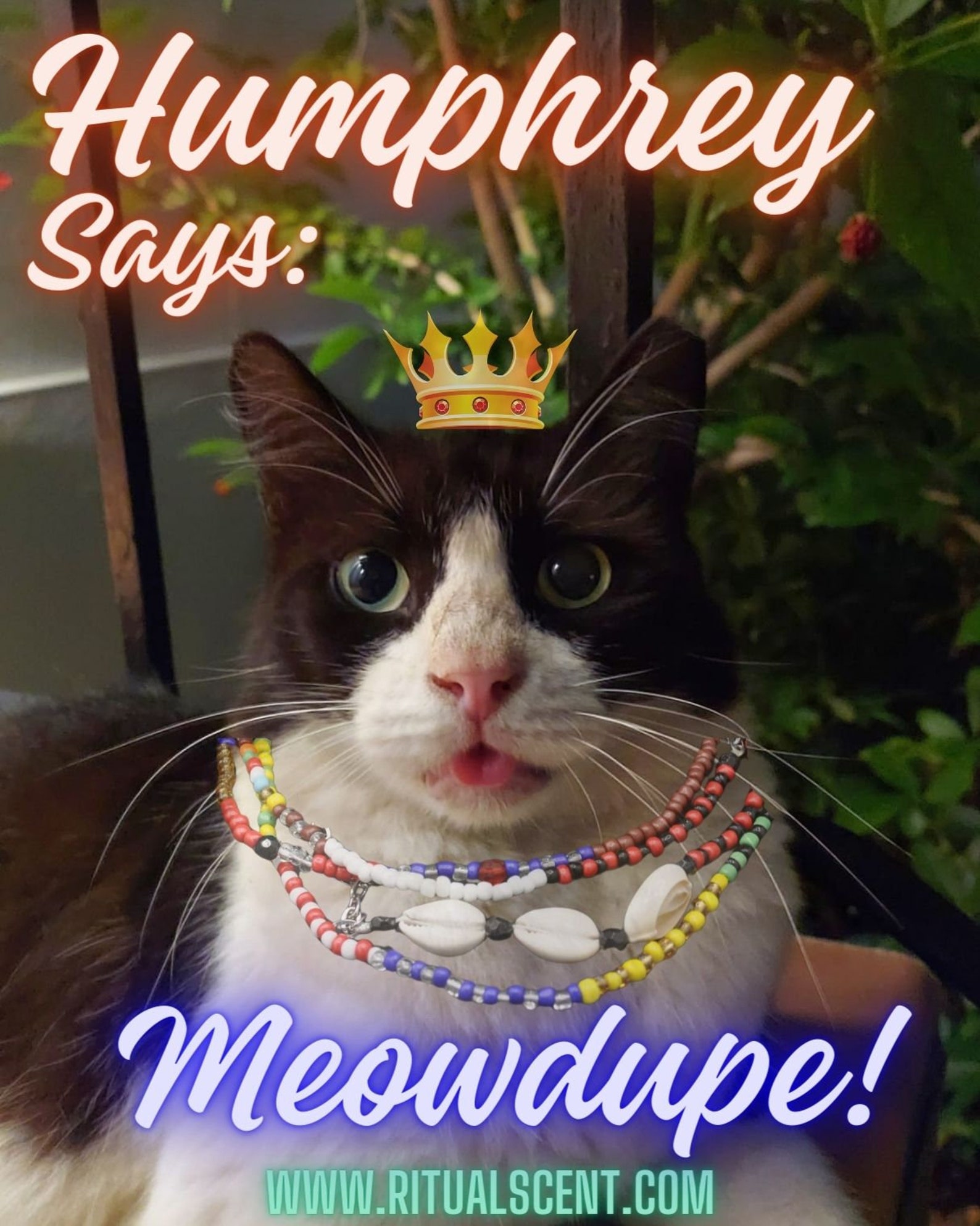 Korinkoto Orisha Tool Set Kori Orisa Korikoto Scarecrow Orisha Oko ...