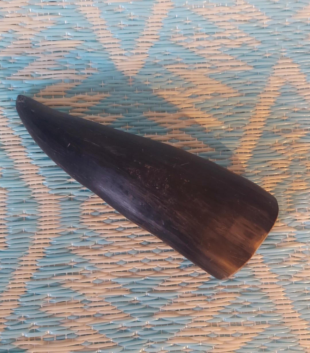 Oya Water Buffalo Horn Otoloefon Taro Buey Cuerno Bufalo De Agua Vaina ...