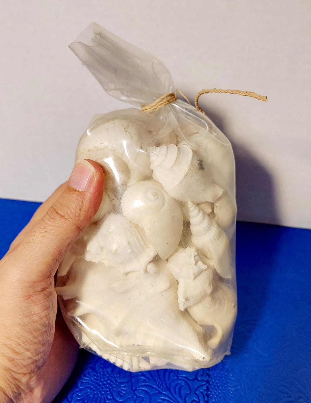 White Orisha Shells Caracoles for Olokun Yemaya Aje Shaluga Yembo ...