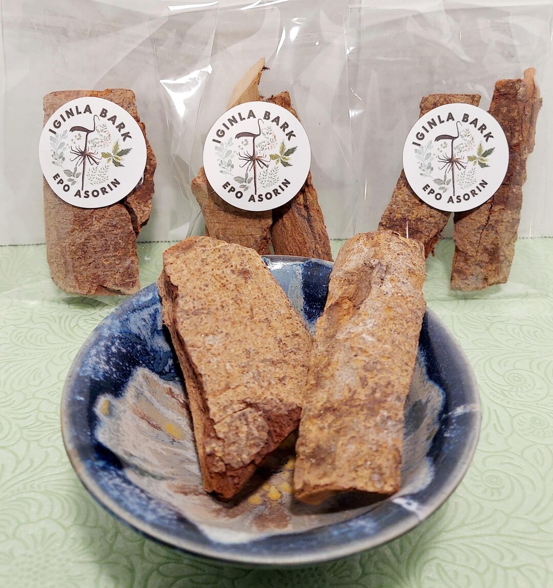 Igi Inla Bark Asorin Mysterious Tree Iyaami Aje Powerful Protection ...