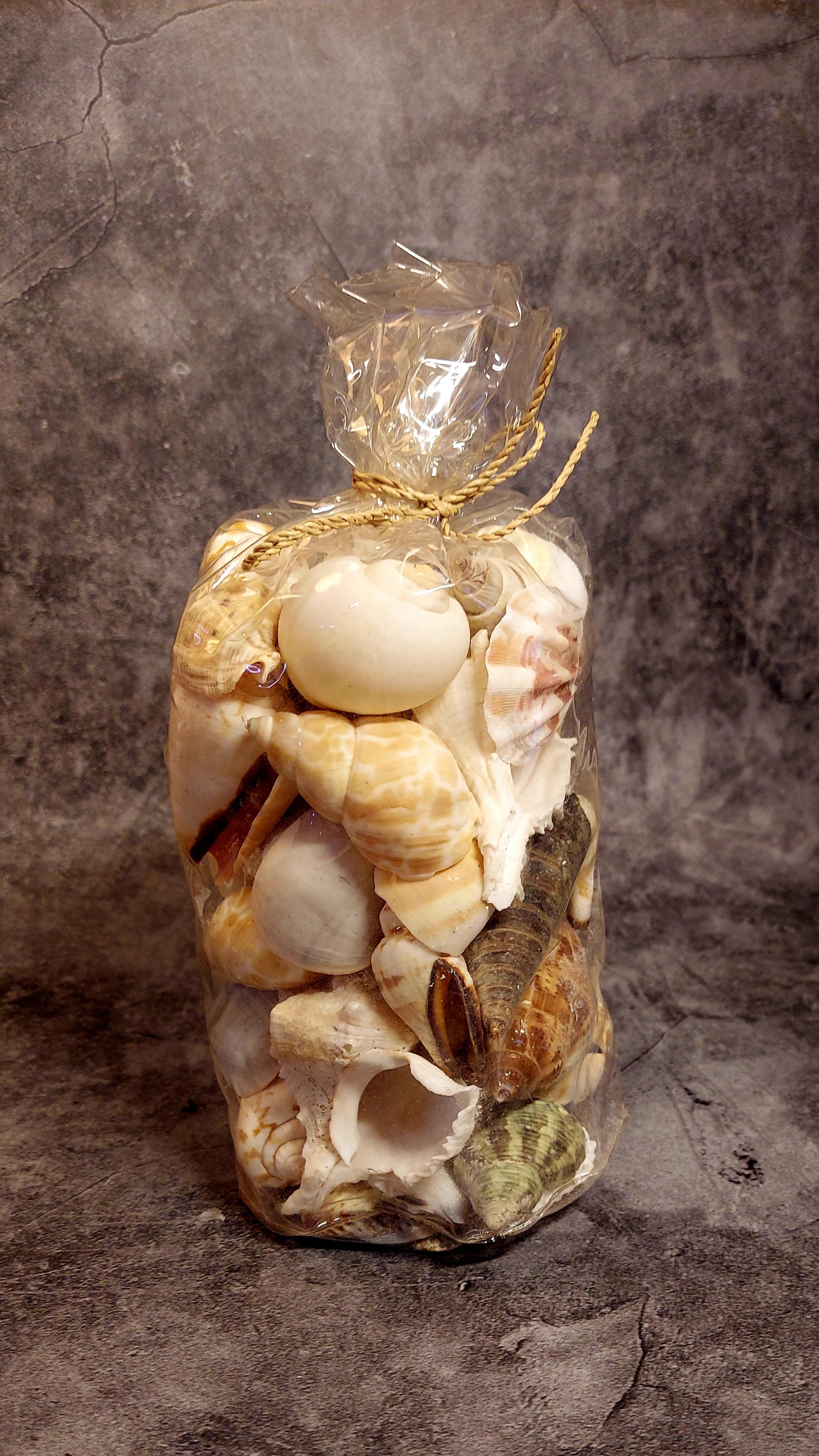 Olokun Carga Shells Caracoles for Olocun Tinaja Sopera Yemaya Ocha ...