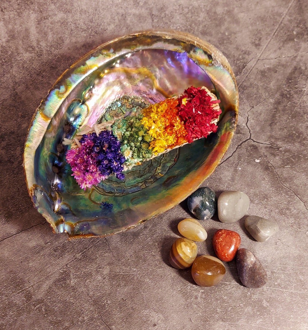 Abalone Shell + Smudge Stick / Abalone Shell Dish / Large Abalone Shell ...