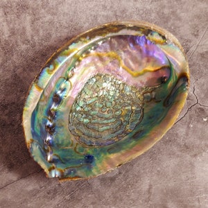 Abalone Shell + Smudge Stick / Abalone Shell Dish / Large Abalone Shell ...