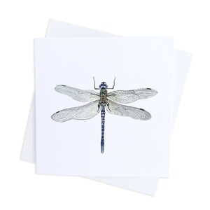 MINI Note Cards | Mix & Match Blank Notecard Set | Card Collection ...