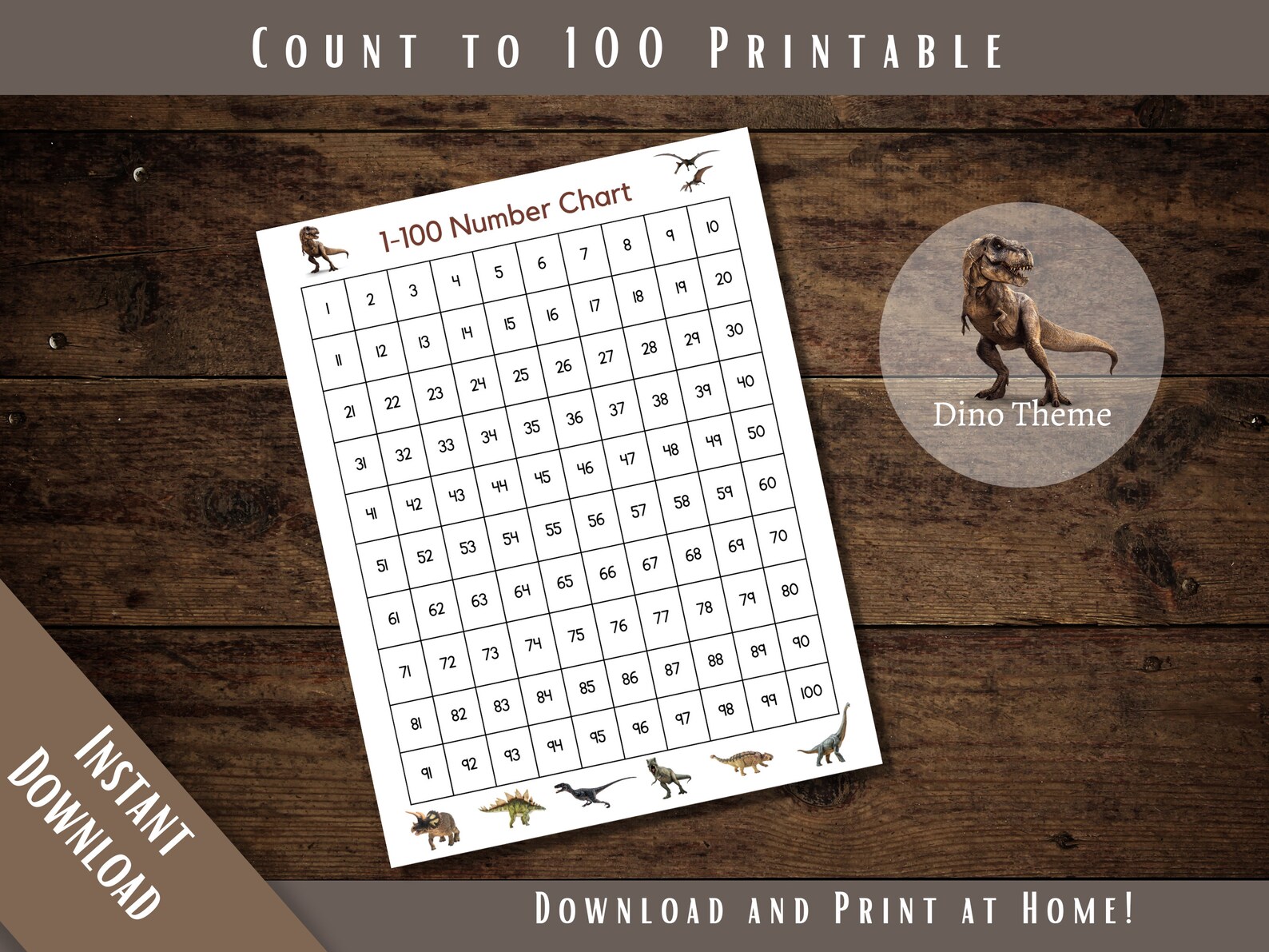 Number Chart/ Printable Hundreds Chart/ 1-100 Number Chart/ Count to ...