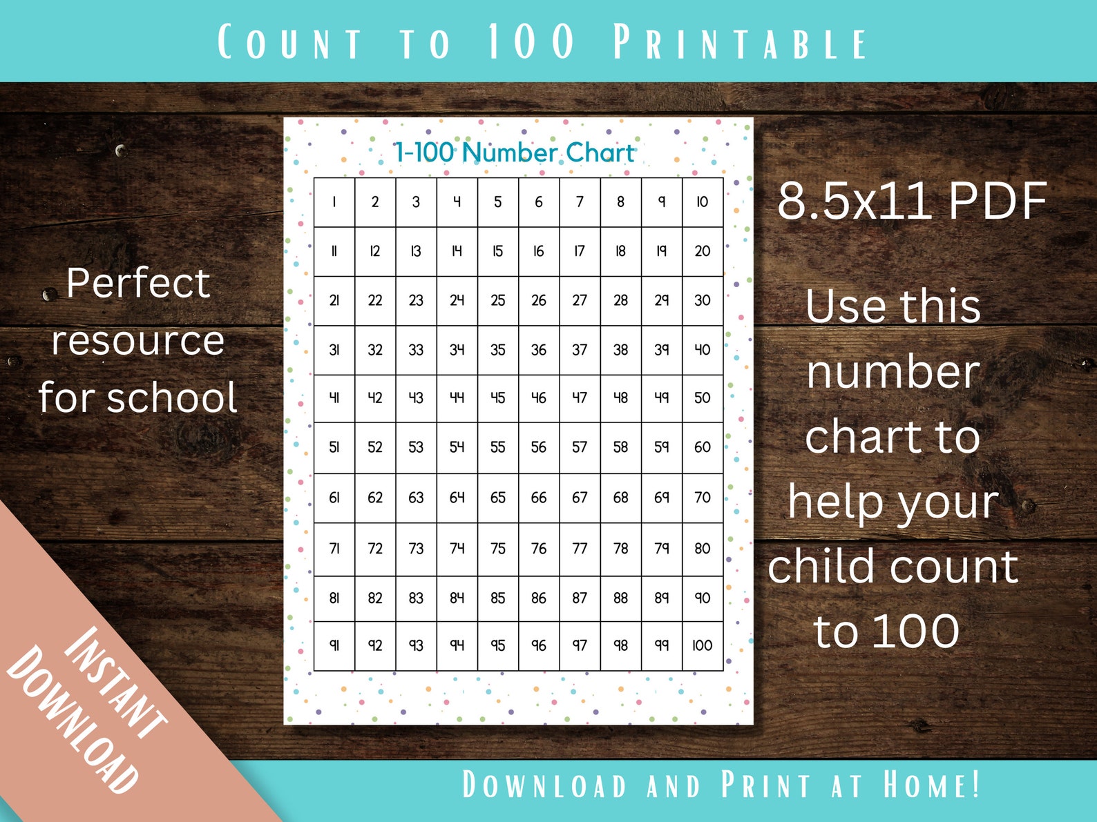 Number Chart/ Printable Hundreds Chart/ 1-100 Number Chart/ Count to ...