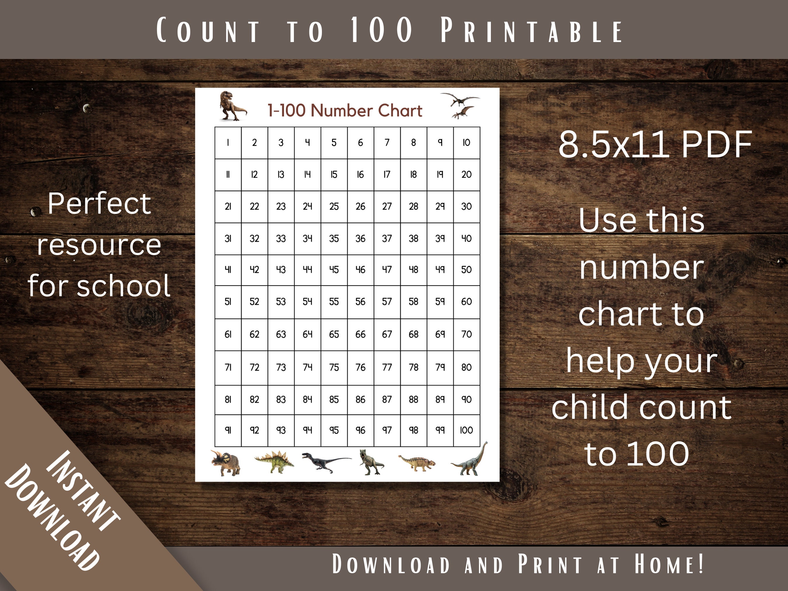 Number Chart/ Printable Hundreds Chart/ 1-100 Number Chart/ Count to ...