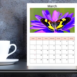 2023 Monthly Calendar, Printable Download, Butterfly Calendar ...