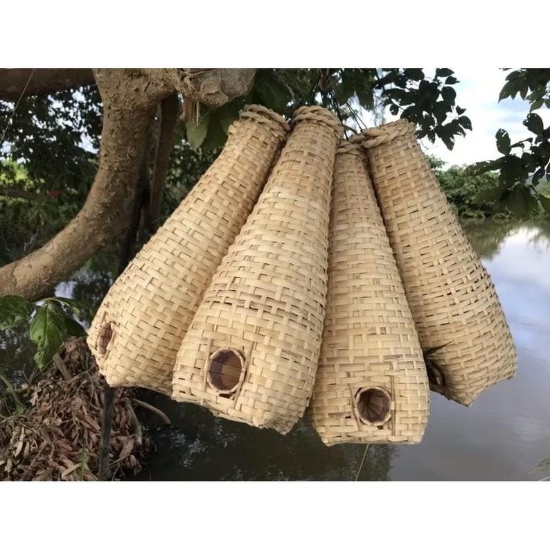 Handcrafted Bamboo Fish, Eel Trap - Traditional Thai Craft | Eco ...