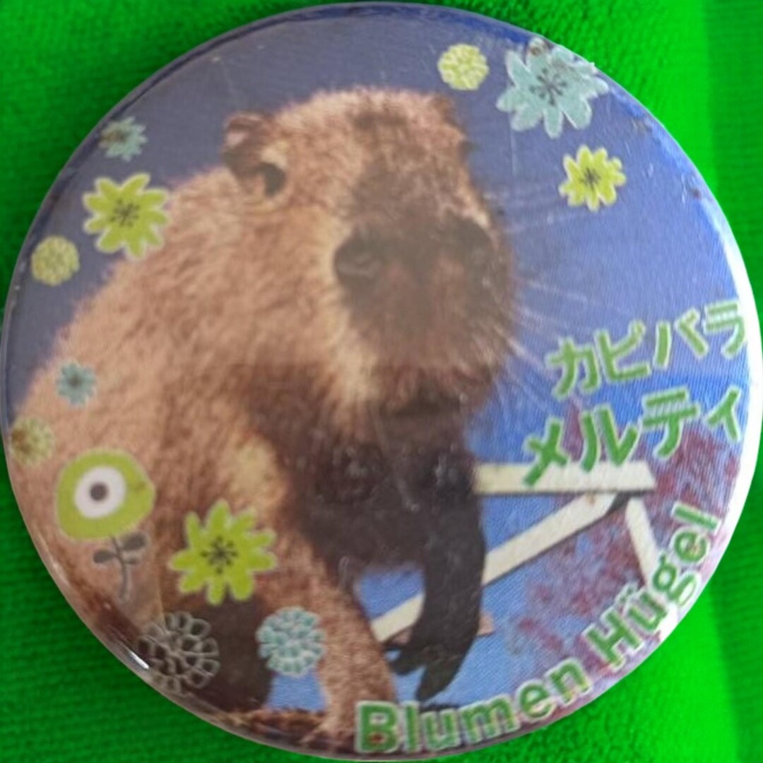 Capybara Pin Button Badge – 4.5cm Cute Tinplate Round Brooch ...