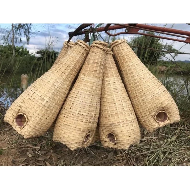 Handcrafted Bamboo Fish, Eel Trap - Traditional Thai Craft | Eco ...
