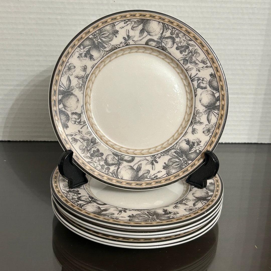 6 Piece Royal Doulton Studio Provence 7-inch Plates Excellent - Etsy