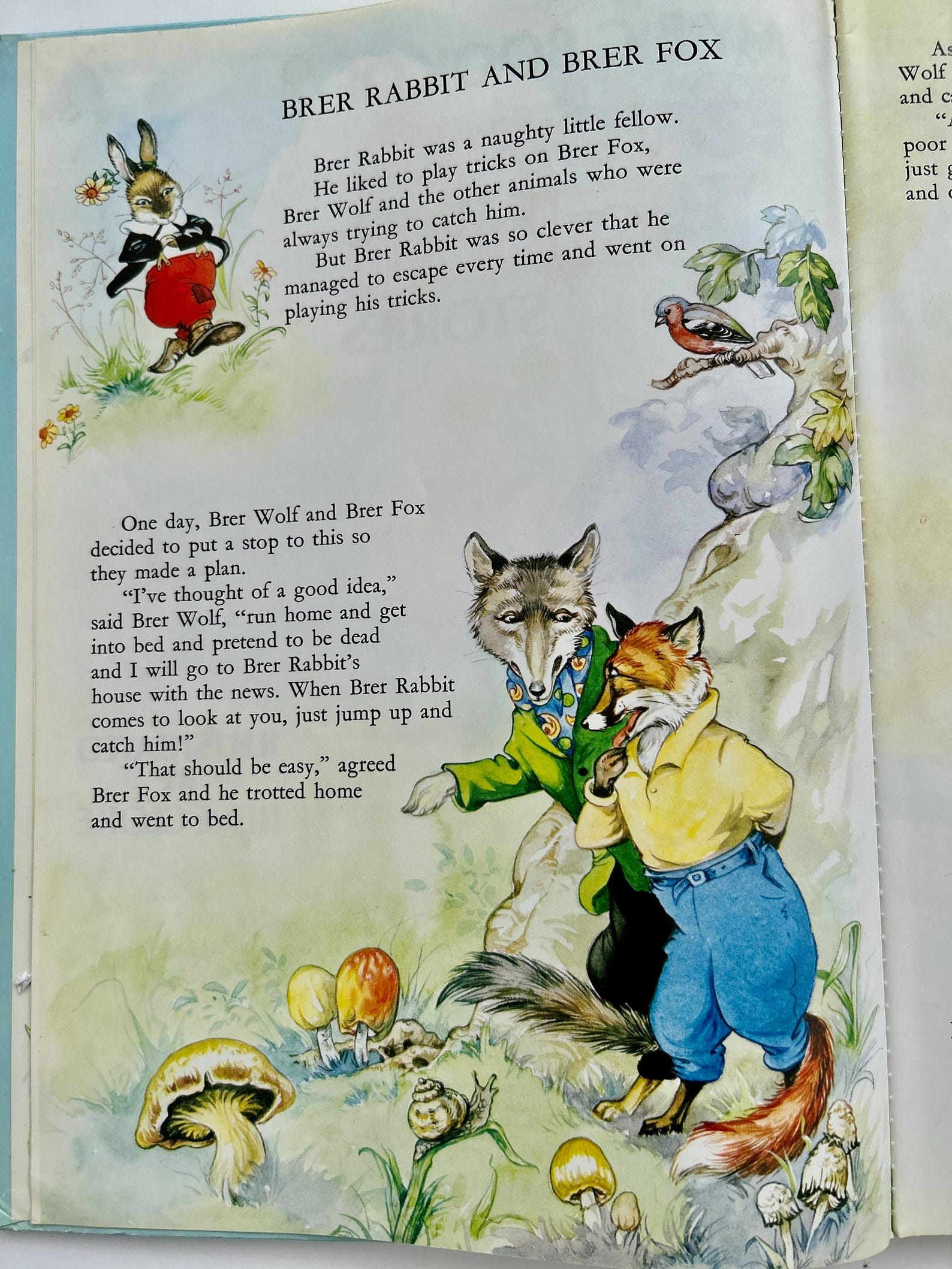 BRER RABBIT, my Big Book of Brer Rabbit Stories, Illustrated by Rene ...