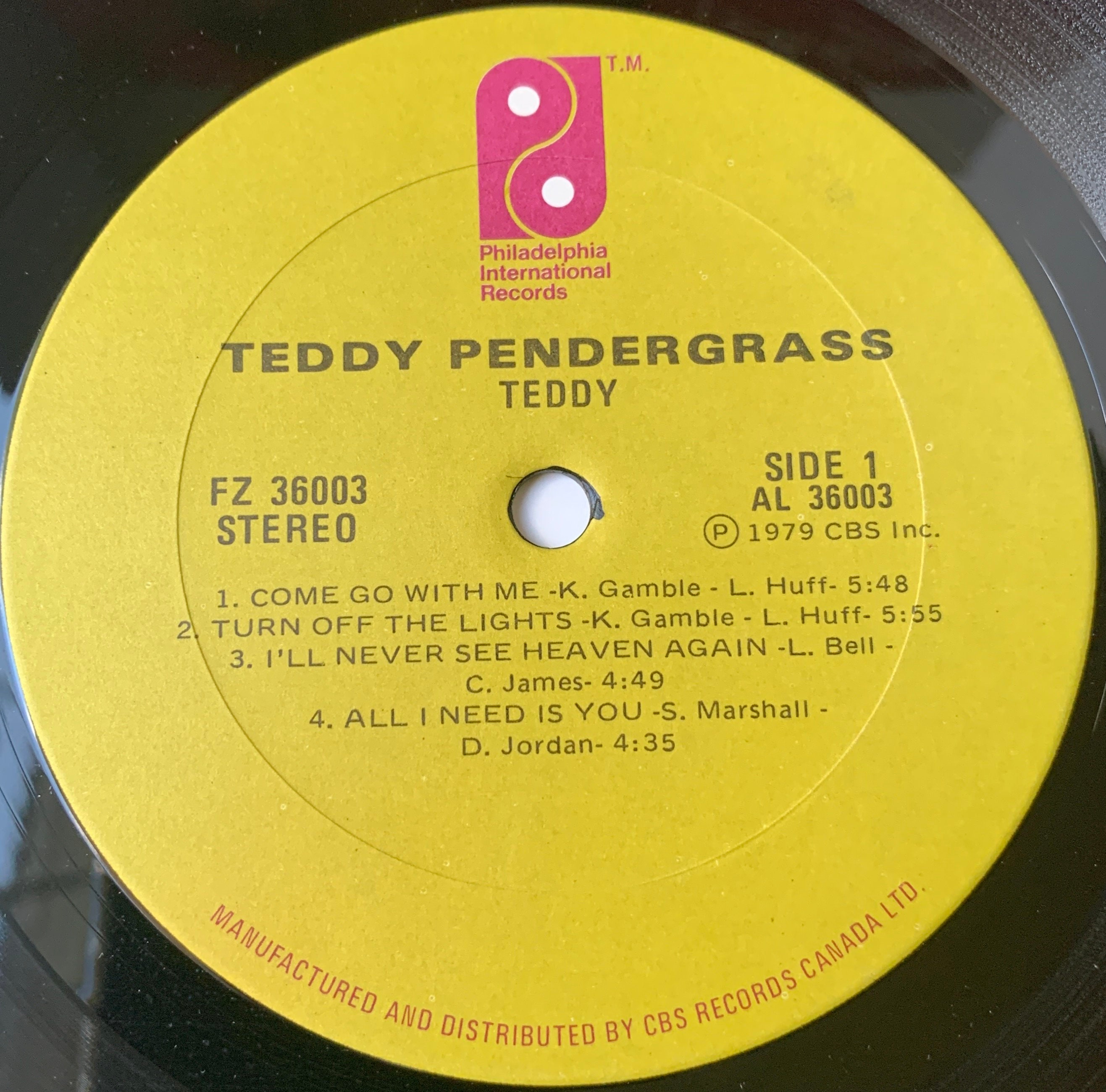 TEDDY Teddy Pendergrass LP Excellent Condition Listened to - Etsy Canada