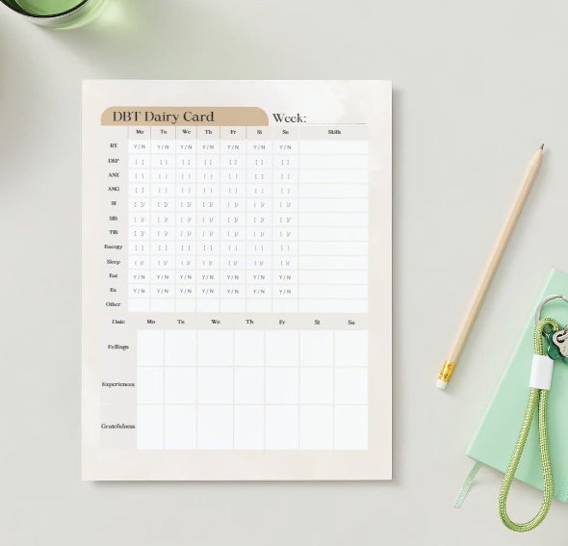 Printable DBT Diary Cards With Step-by-step Instructions Digital ...