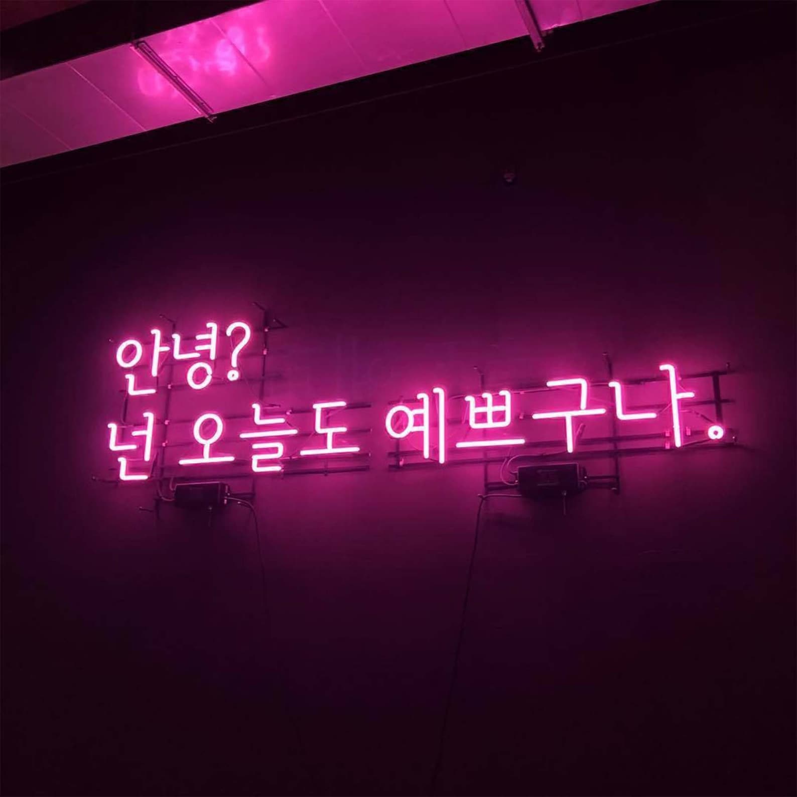 Korean Neon Sign Kawaii Neon Signs Custom Korean Sign - Etsy