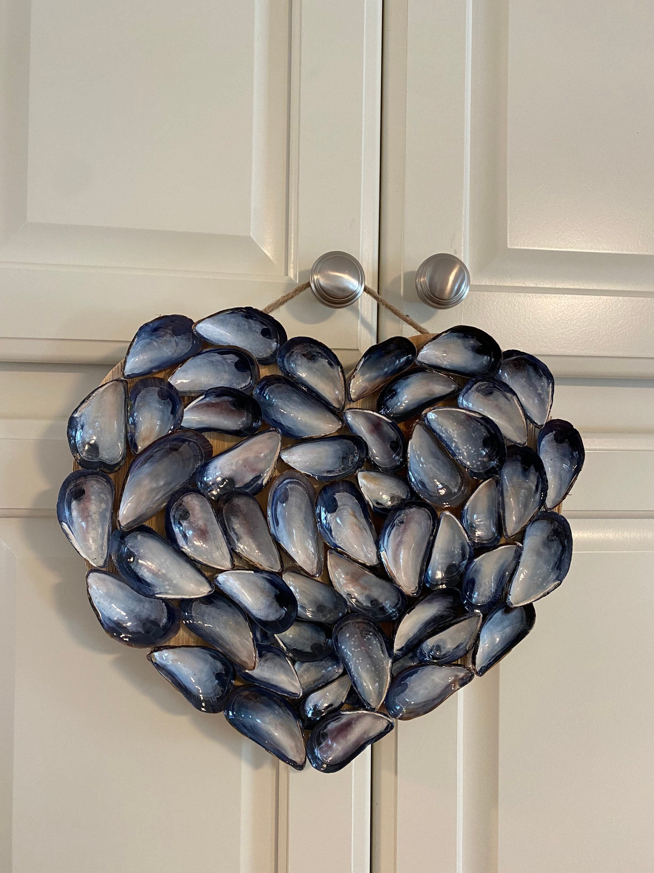 Mussel Shell Heart - Etsy