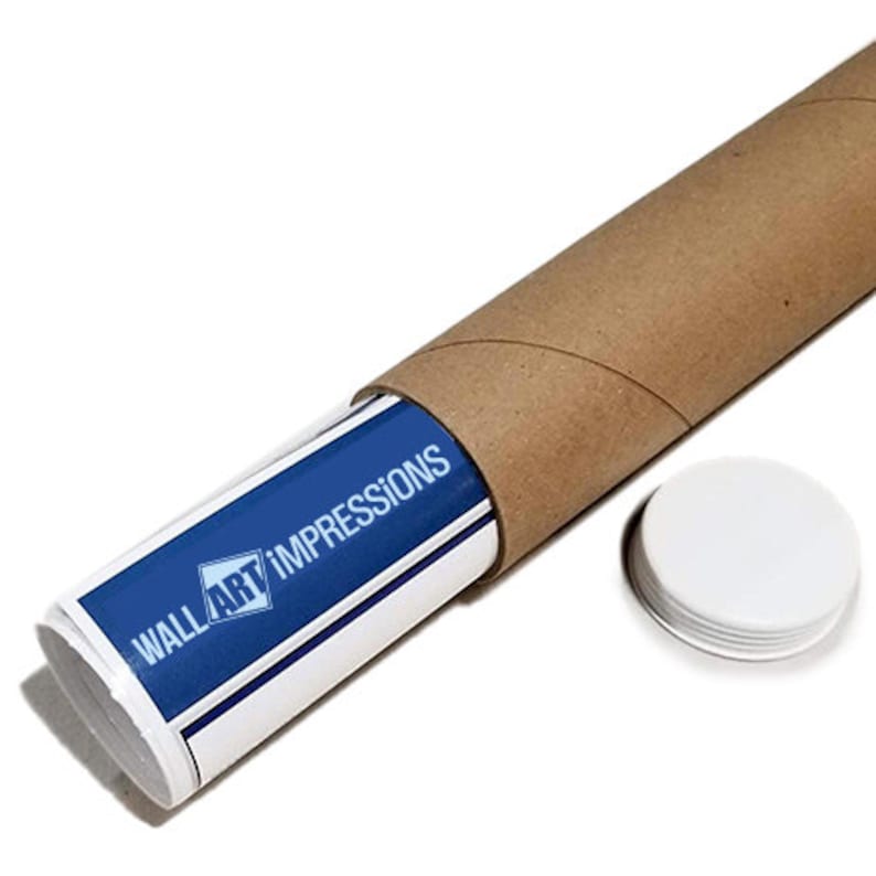 Wall Art Impressions 24"x36" Poster Illinois County Map - Etsy