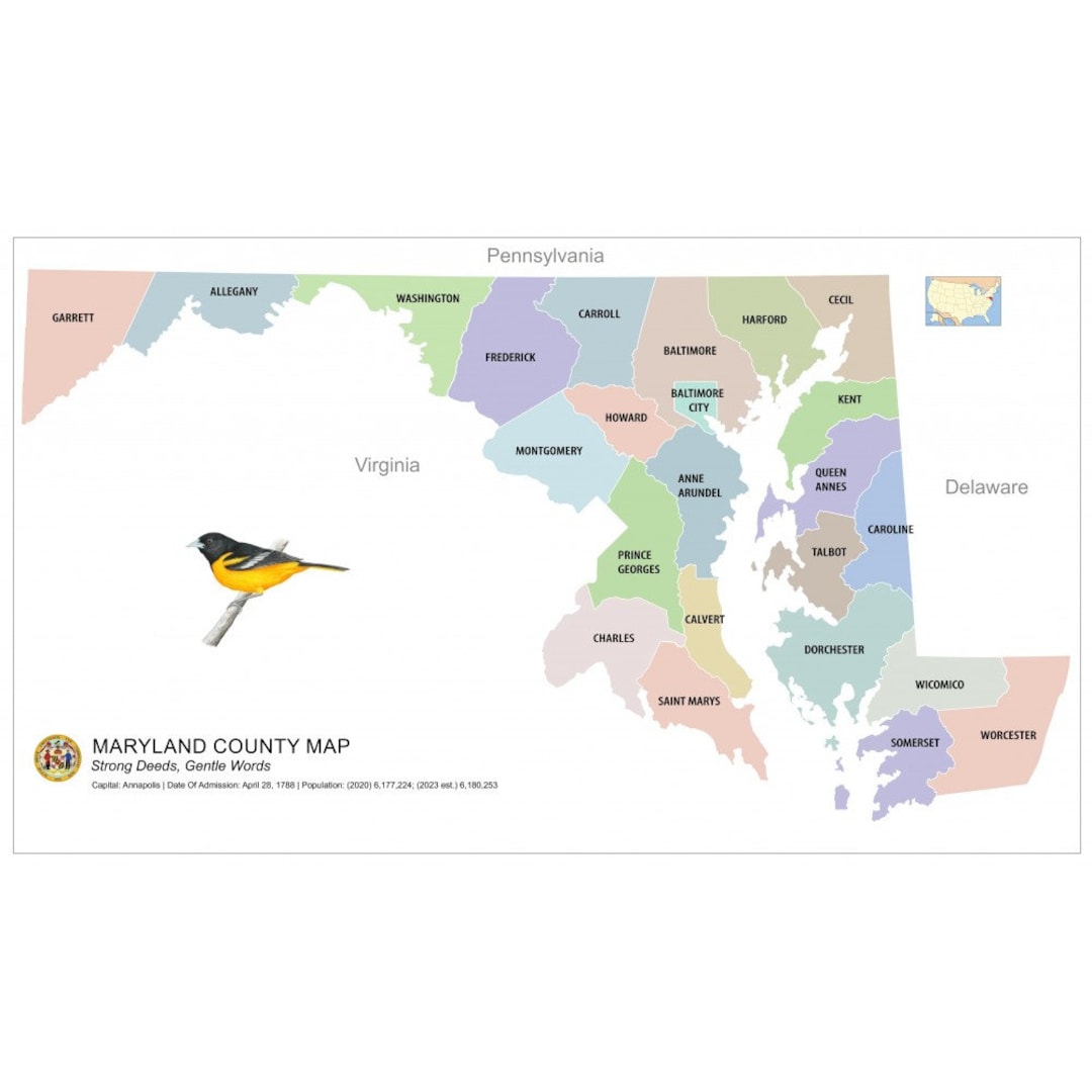 Wall Art Impressions™ 24"x40" Vibrant Maryland County Map: A Colorful ...