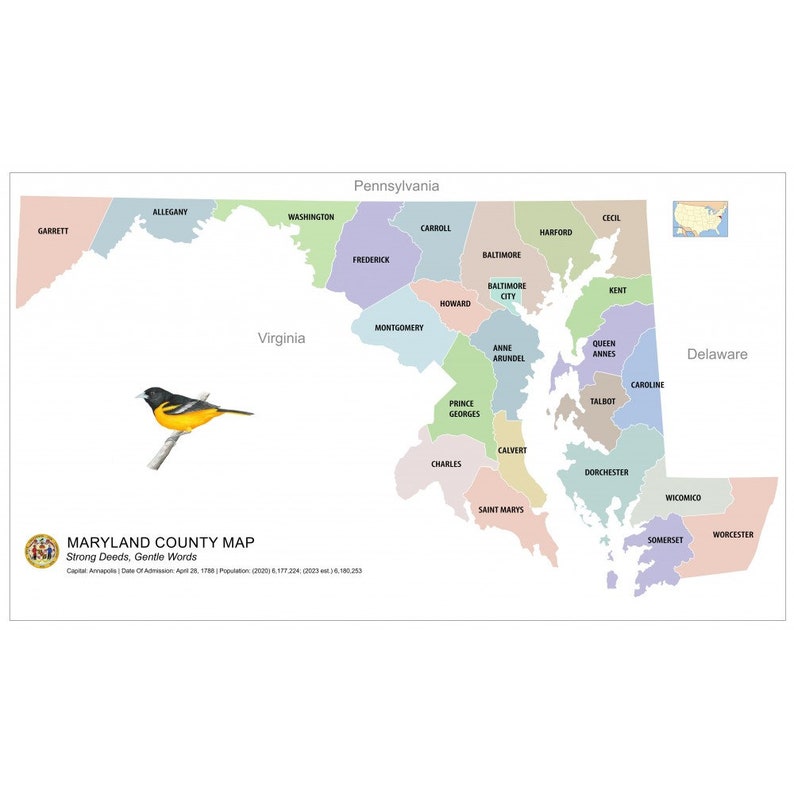 Wall Art Impressions™ 24"x40" Vibrant Maryland County Map: A Colorful ...