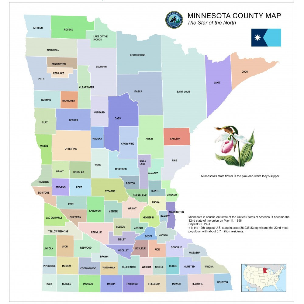 Wall Art Impressions™ 24"x36" Vibrant Minnesota County Map: A Colorful ...