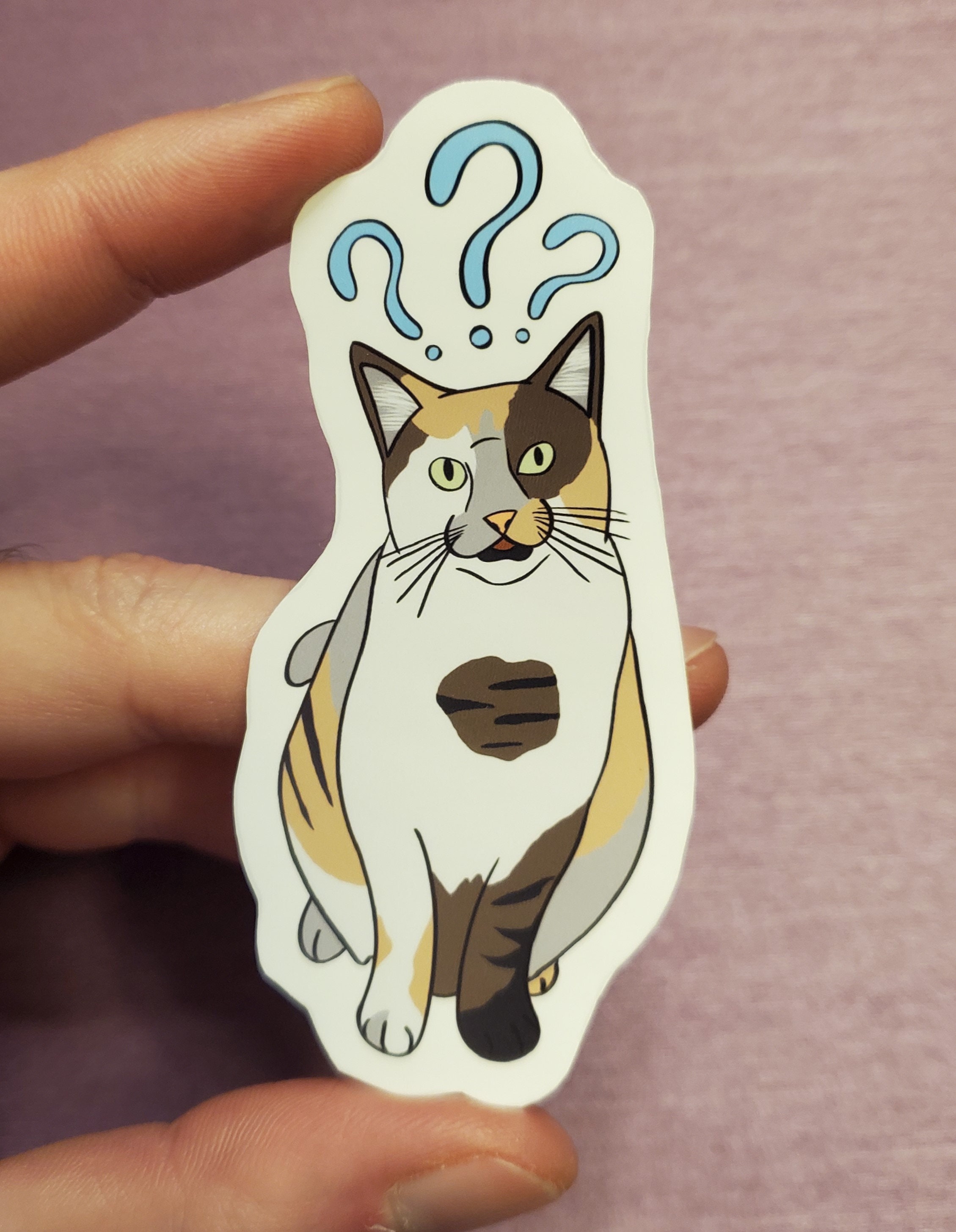 Bewildered Cat Sticker - Etsy