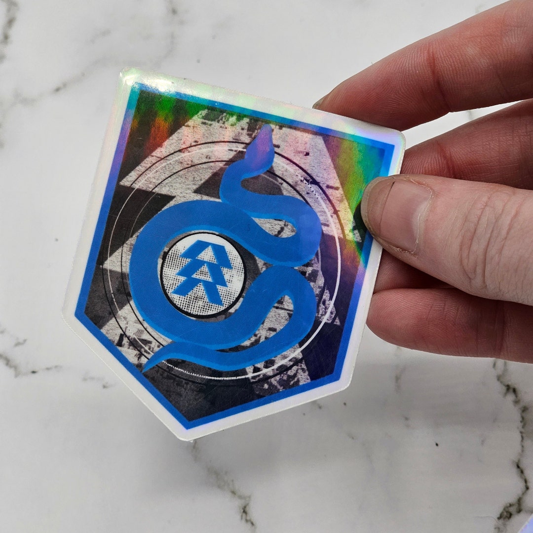 Destiny Class Crest Holographic Sticker - Etsy