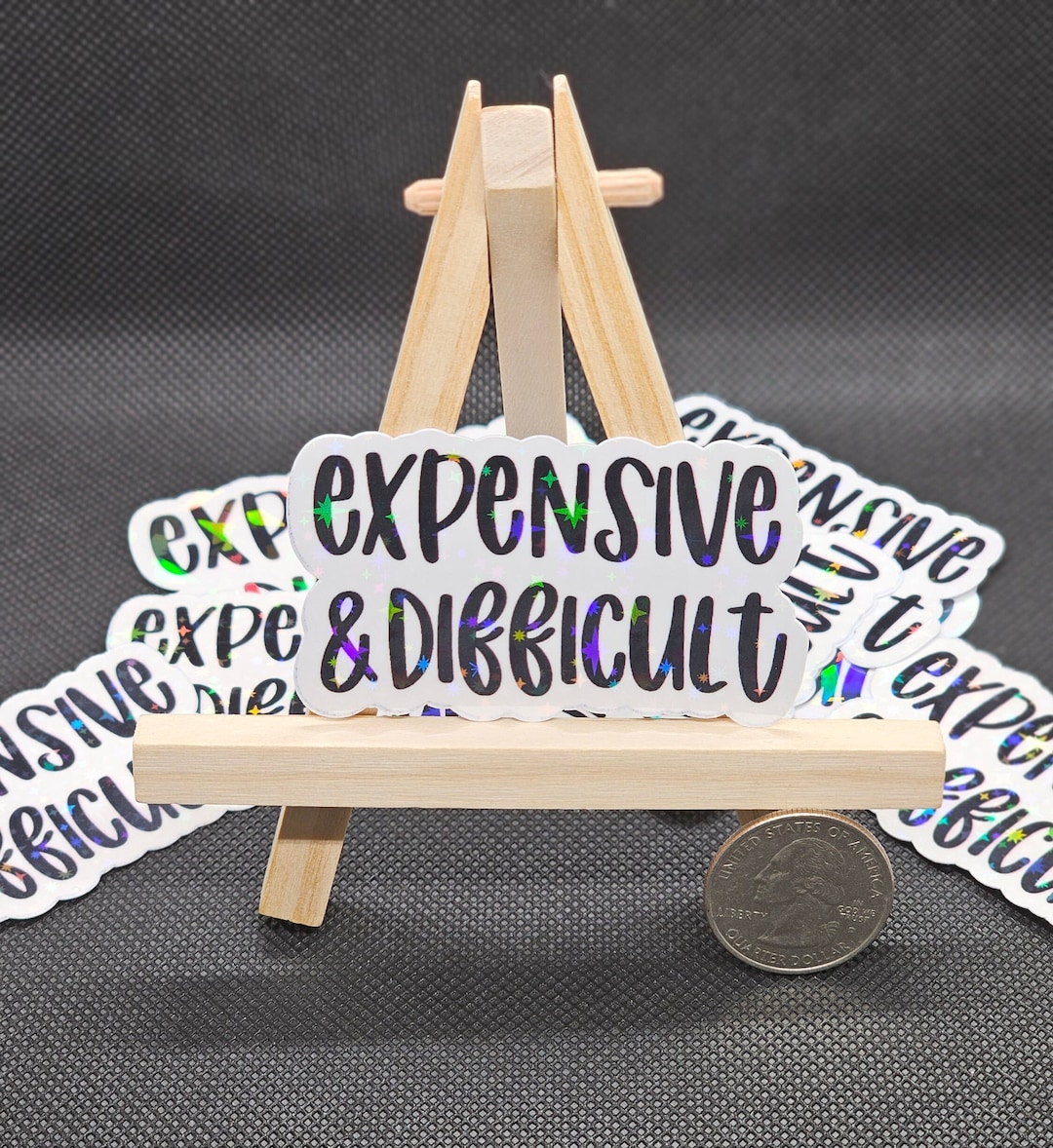 Expensive & Difficult Holographic Sticker - Etsy