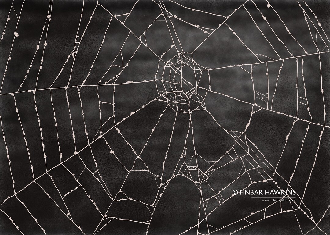 Cobweb From Debut Novel "witch" by Finbar Hawkins - Print From Original ...
