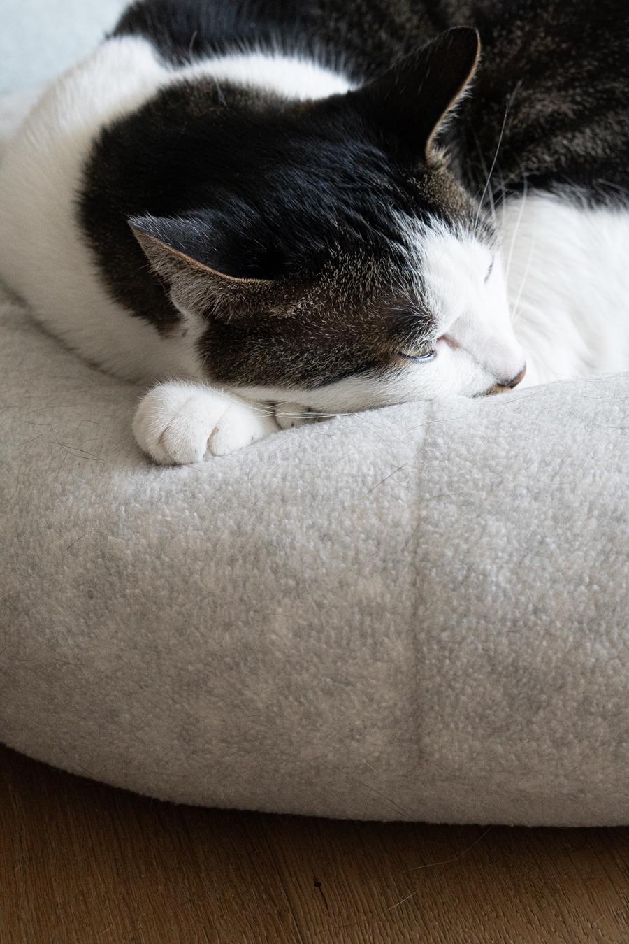 Mochi Pudding Bed for Cats and Dogs - Etsy