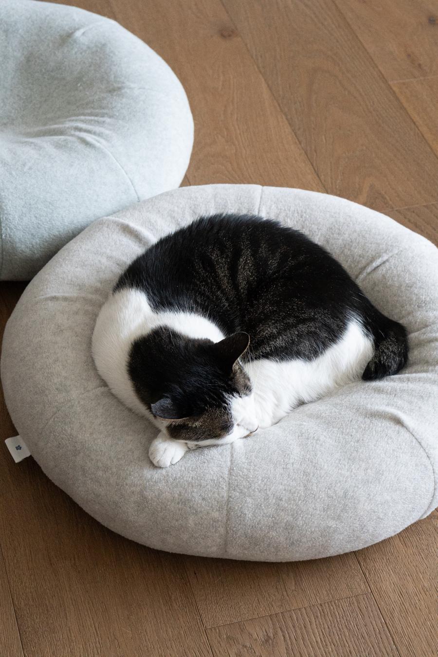 Mochi Pudding Bed for Cats and Dogs - Etsy