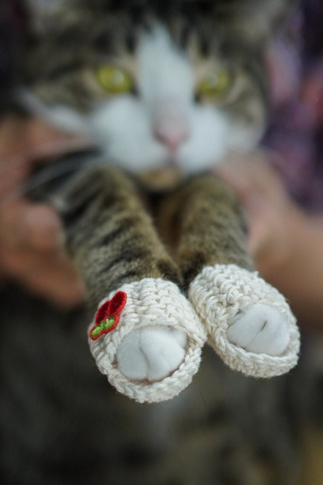 Crotchet Slippers for Cats White Magic Flying Slippers by Ocatnip, Cat ...